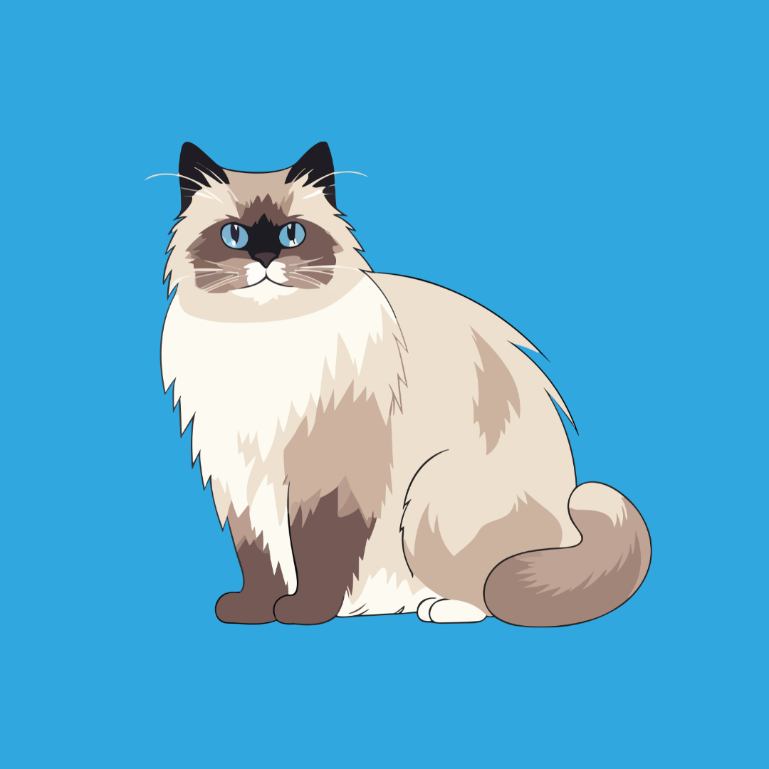 Cats - Family Pets Trading LLC